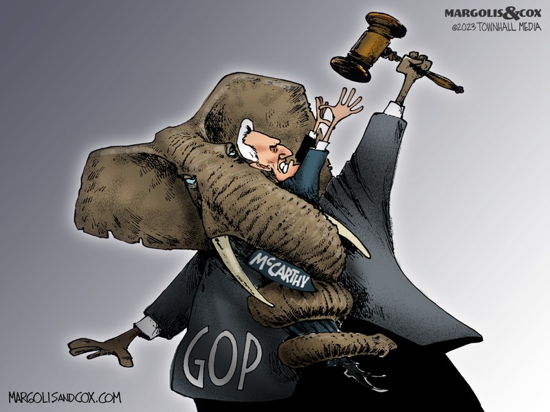 Nogle videoer om Kevin McCarty som republikansk leder af ...