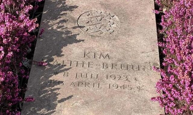 “I anledning af befrielsen” – Hodjanernes blog